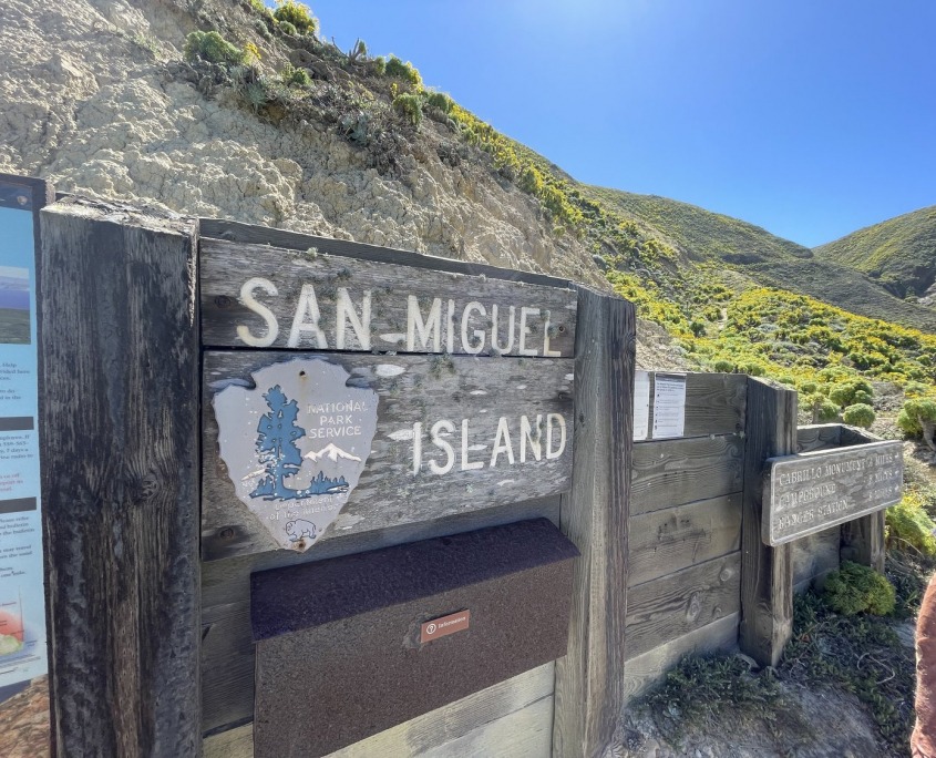 Northern Channel Islands Cruises | Santana Sailing School