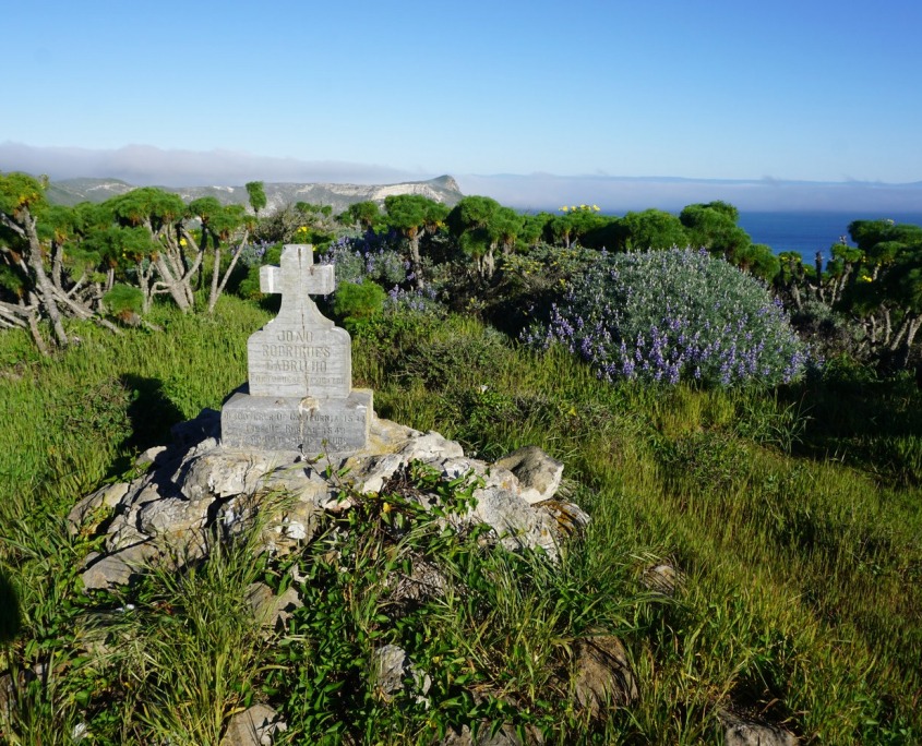 Northern Channel Islands Cruises | Santana Sailing School