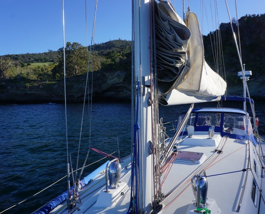 Northern Channel Islands Cruises | Santana Sailing School