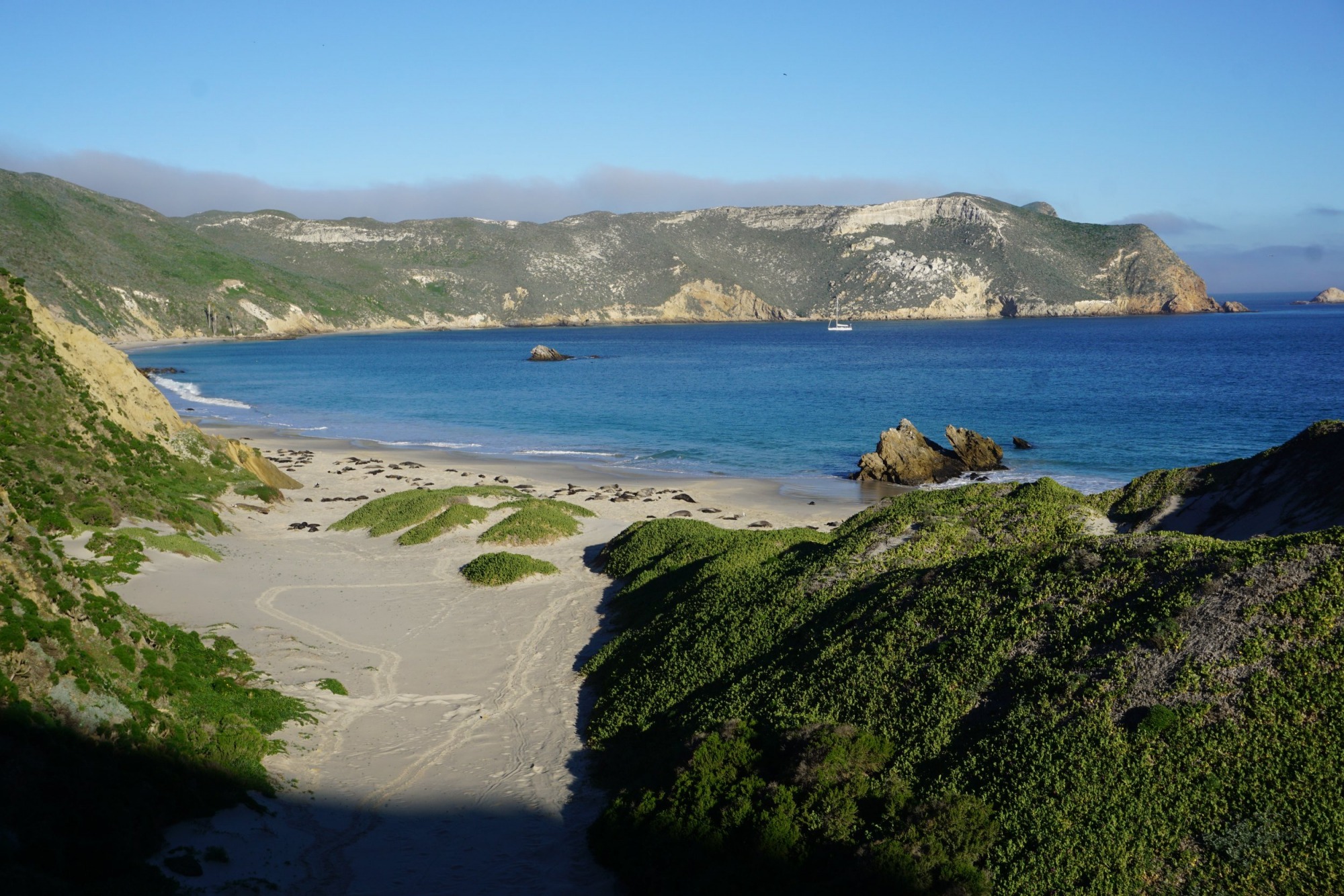 Northern Channel Islands Cruises | Santana Sailing School